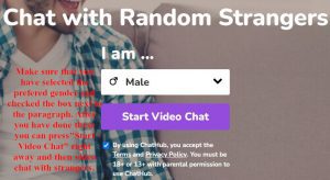 How to use Chathub? » ChatHub | Chathub Chat